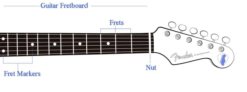 Anatomy of an Electric Guitar: Everything You Need To Know🎸